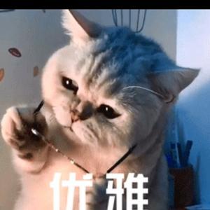 R_esume 