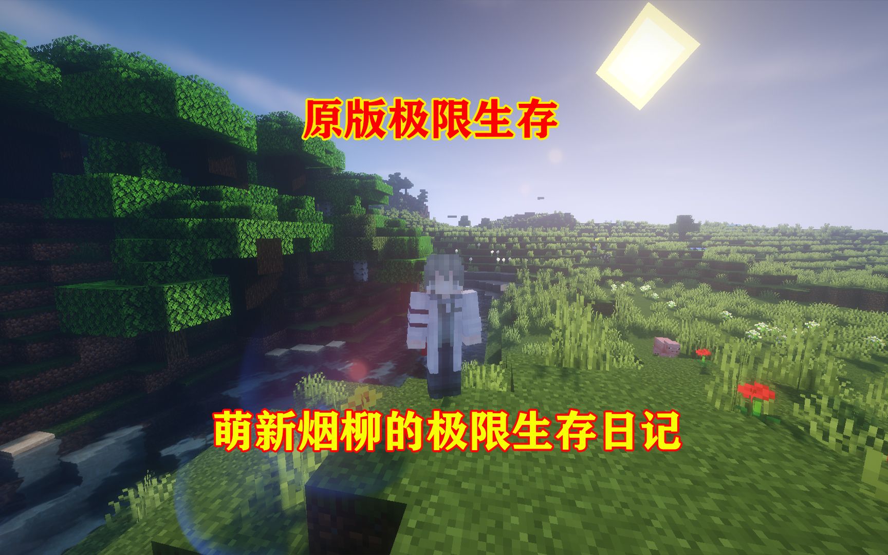 我的世界烟柳的极限生存日记30:离开末地返回主世界