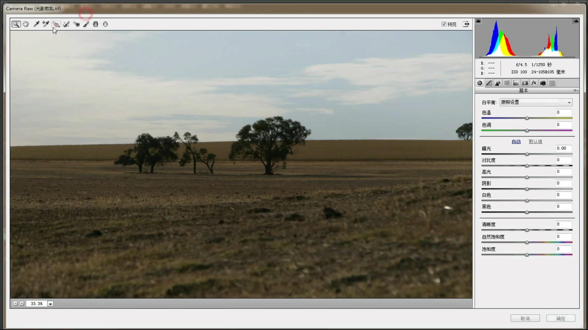 PS基础:camera raw工具