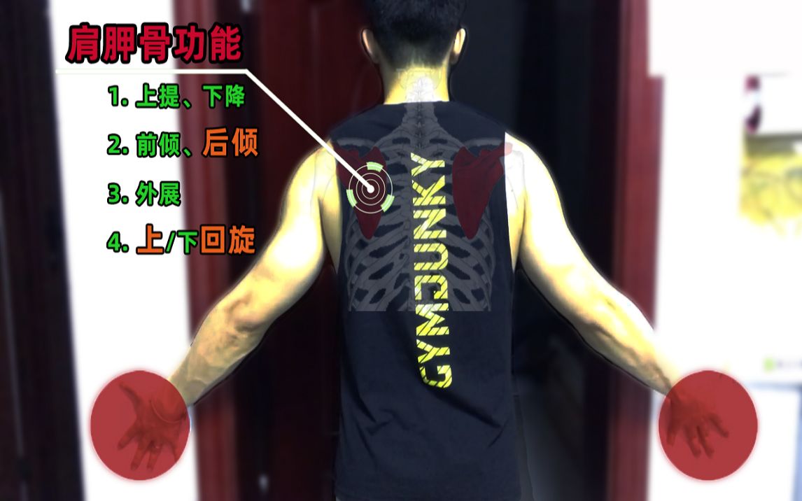 「你可能一直忽视的肩部稳定性练习」改善肩峰下撞击综合征和提升...