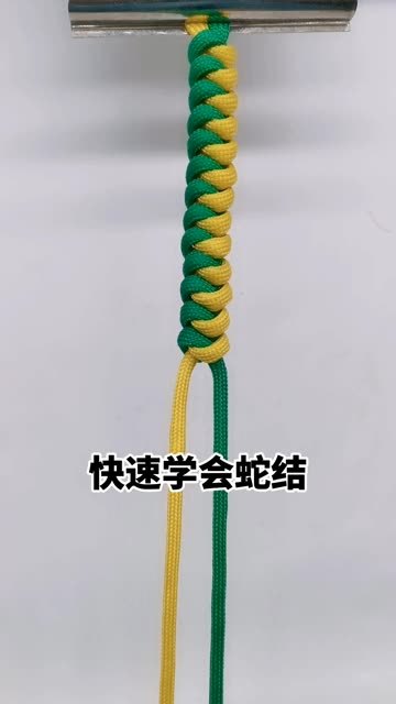 快速学会蛇结