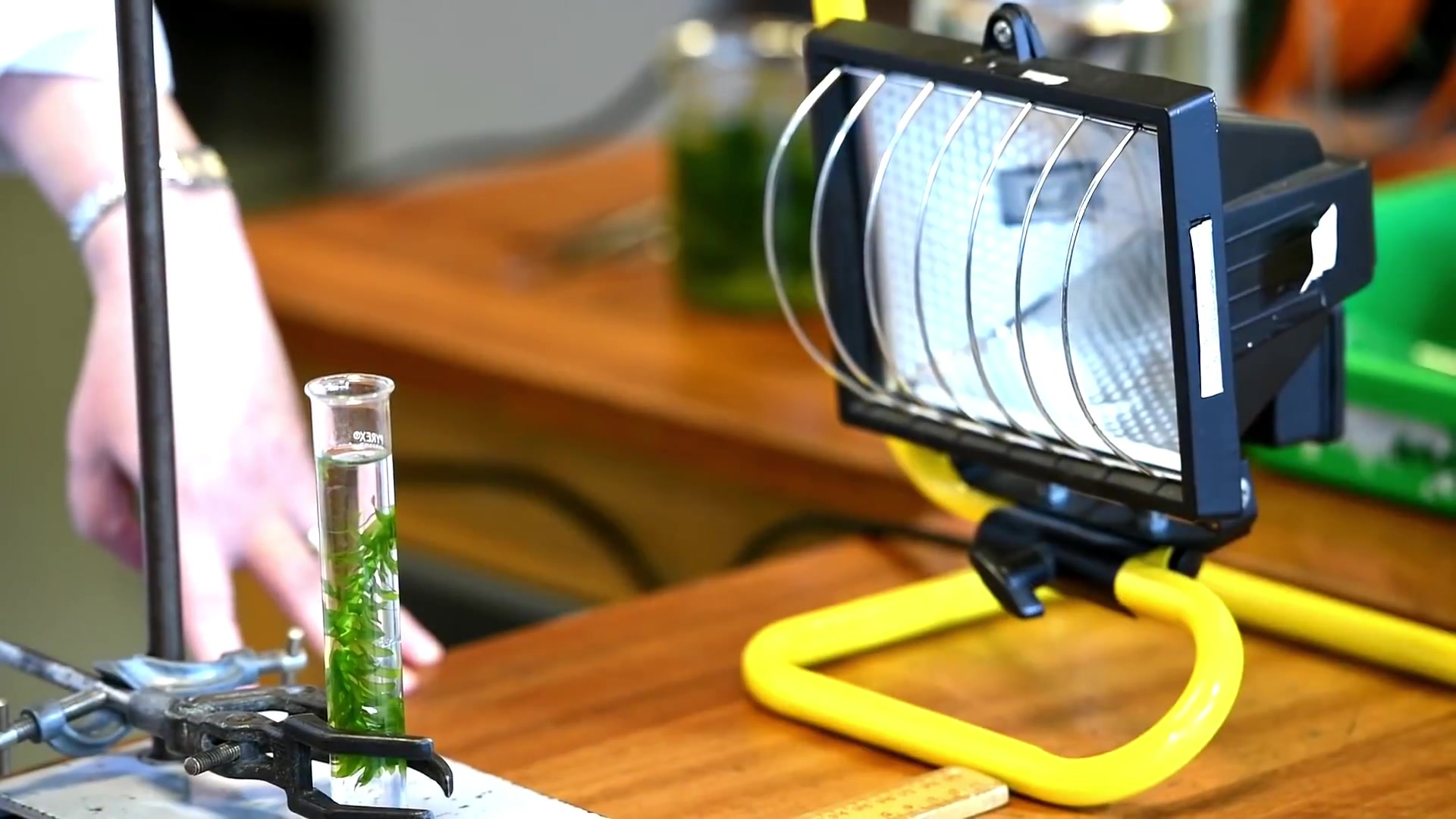 【生物学】光合作用速率实验