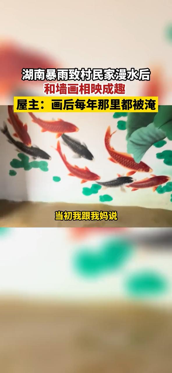 6月3日,湖南怀化,暴雨致村民家漫水后和墙画相映成趣,屋主:画后每年...
