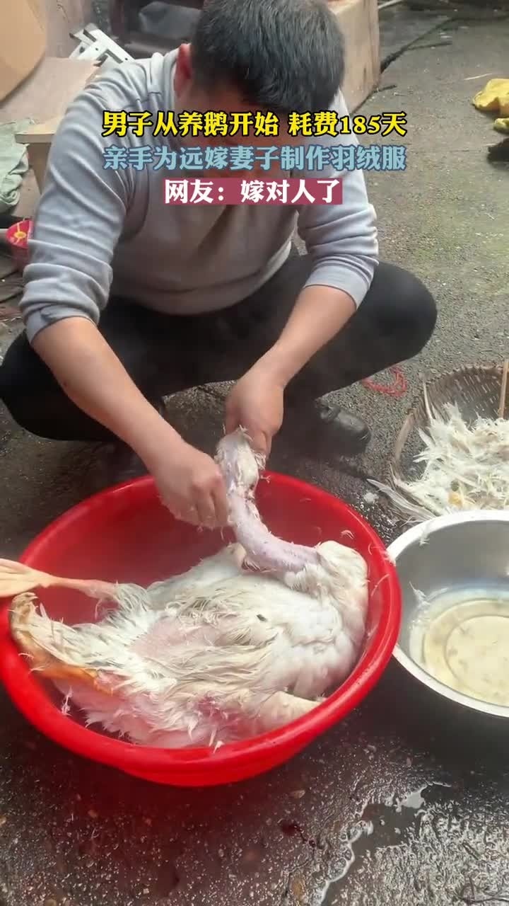 男子从养鹅开始耗费185天,亲手为远嫁妻子制作羽绒服,网友:嫁对人了