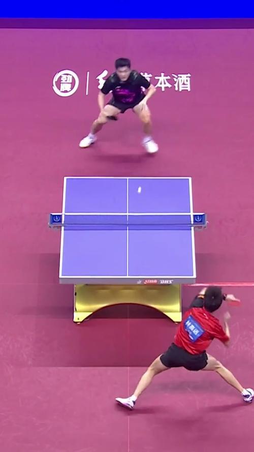樊振东与林高远精彩对攻!实在太精彩了!