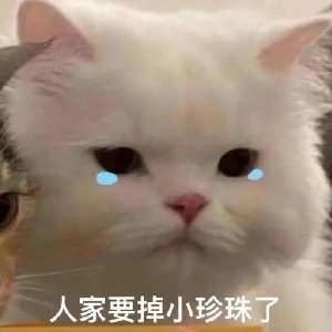 歌子衿丫 
