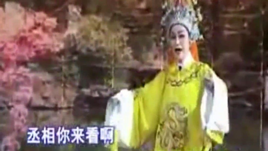 游上林【戏曲大全名家名段演唱会欣赏】
