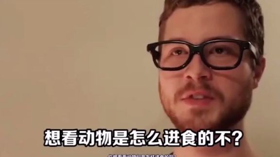 沙雕青年模仿动物进食,大型爆笑迷惑行为现场
