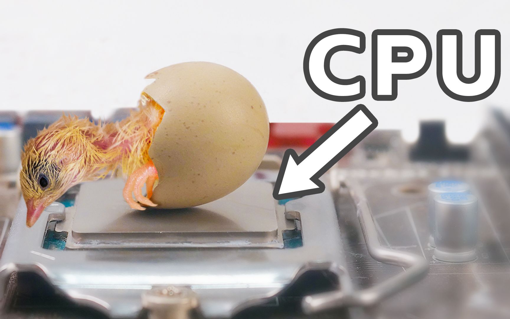 我在一个CPU上面出生