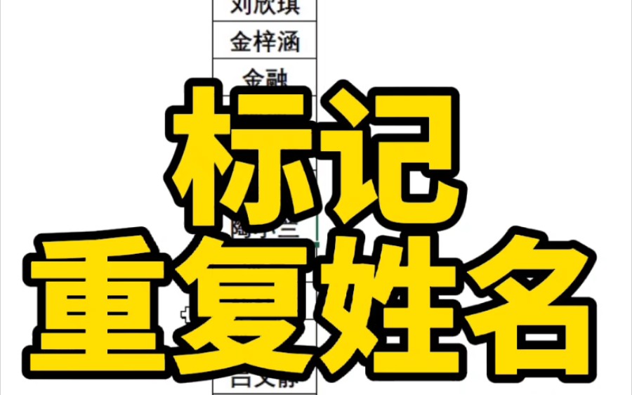 Excel标记重复姓名