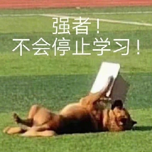 梅贾的窃魂券 