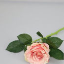 和大家说的海边的风景 