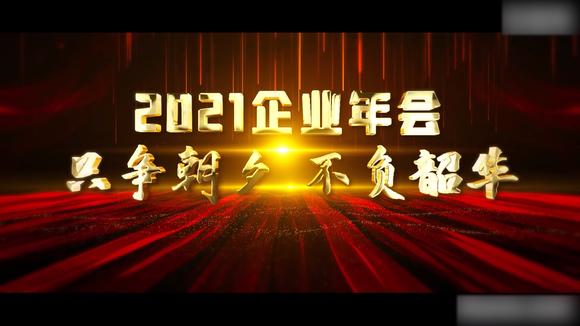 #年会 #企业宣传片 #活动现场 #团队精神 #晚会 00255