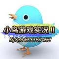 小鸟游戏实况II 