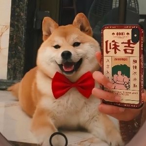 智杖大王 