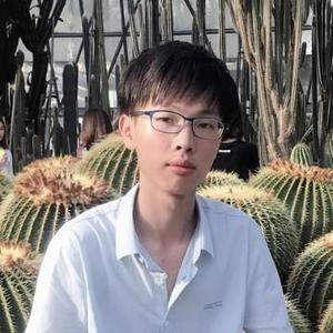 努力奋斗的小杨 