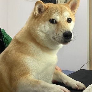 玉某人有点有趣 