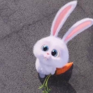 你家的志至 
