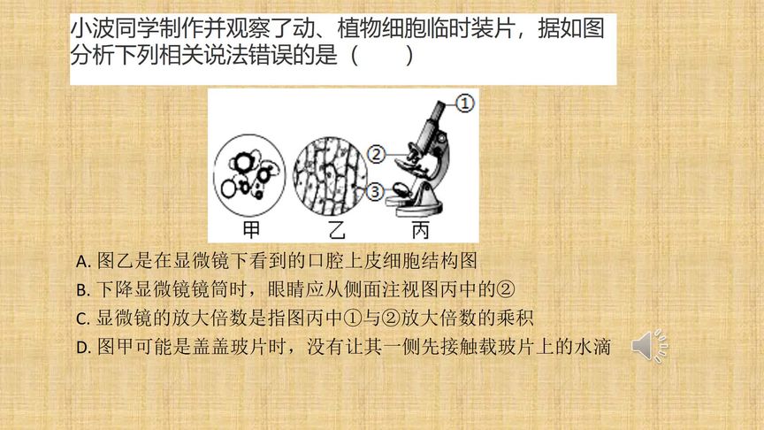 初一生物第一章:显微镜的使用