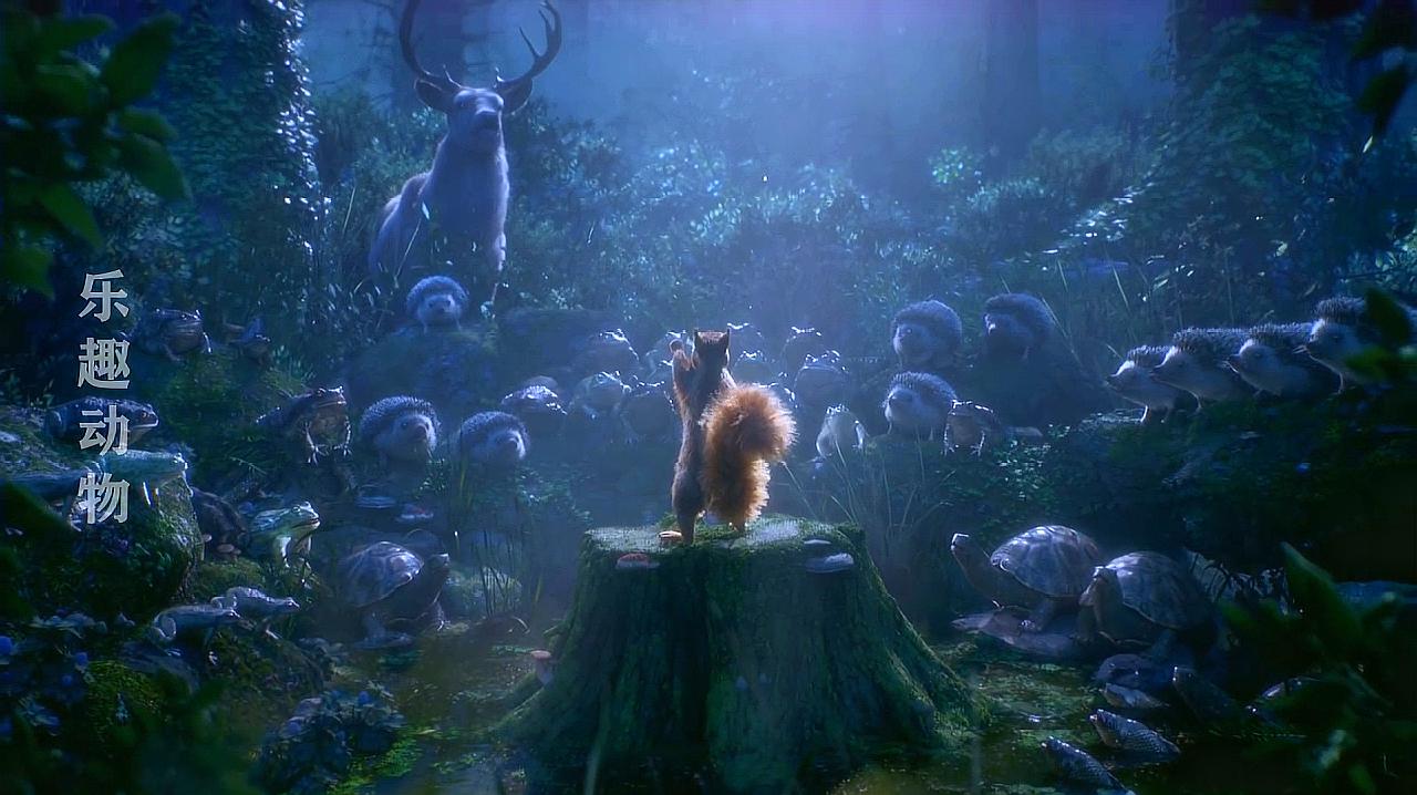 午夜时分,动物们的森林音乐会