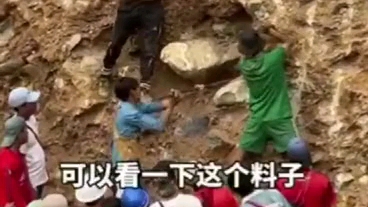 好不容易挖到一块好的翡翠原石,场口老板也不傻的,不想卖了!
