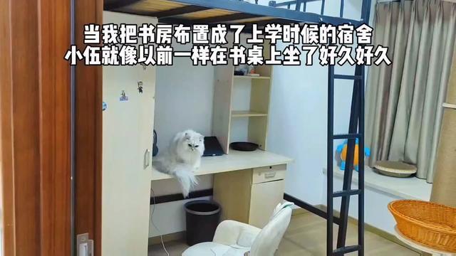 当我把书房布置成了上学时候的宿舍 小伍就像以前一样在书桌上坐了...