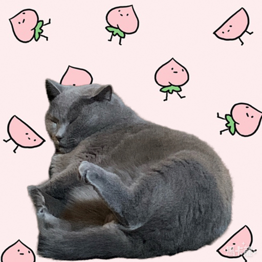 阿猫阿猫做点手工 