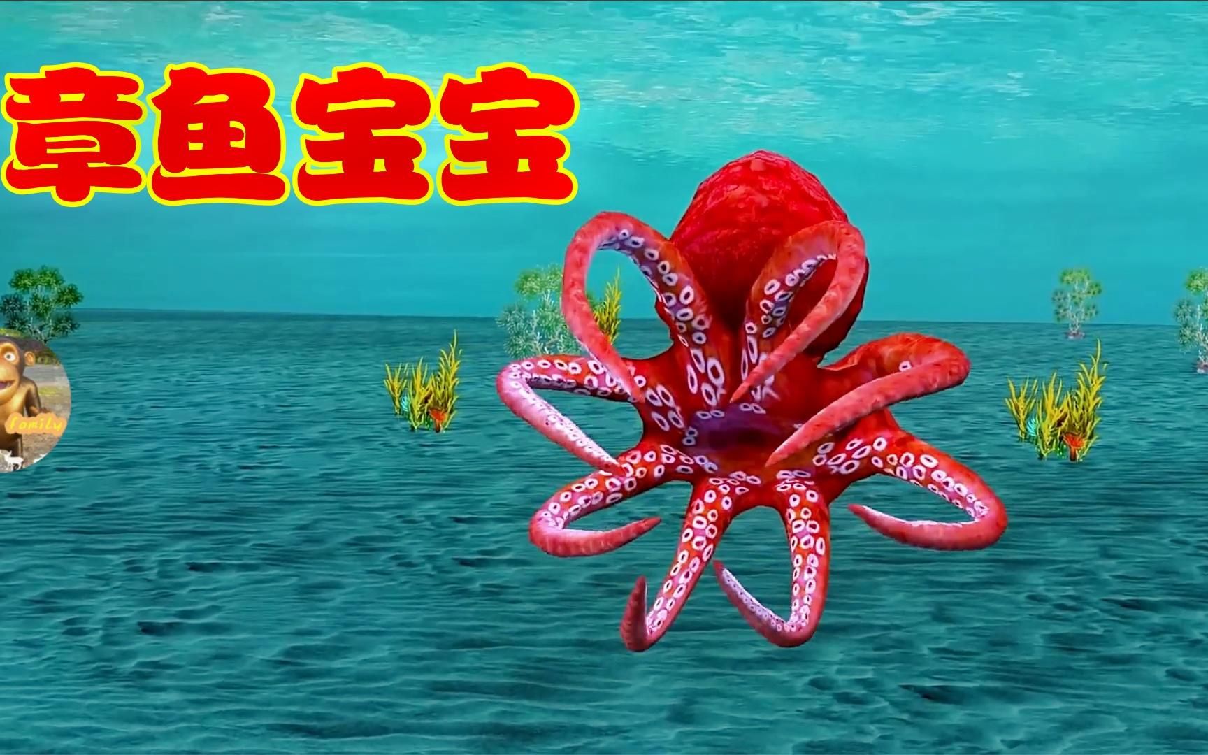 早教动画:动物来个大聚会,路上跑的,天上飞的,水里游的,这些都认识吗?