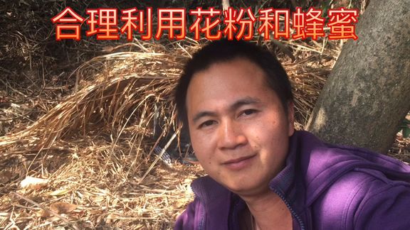分享花粉浆和蜂蜜对养好蜜蜂的重要作用,你有合理利用好它们了吗