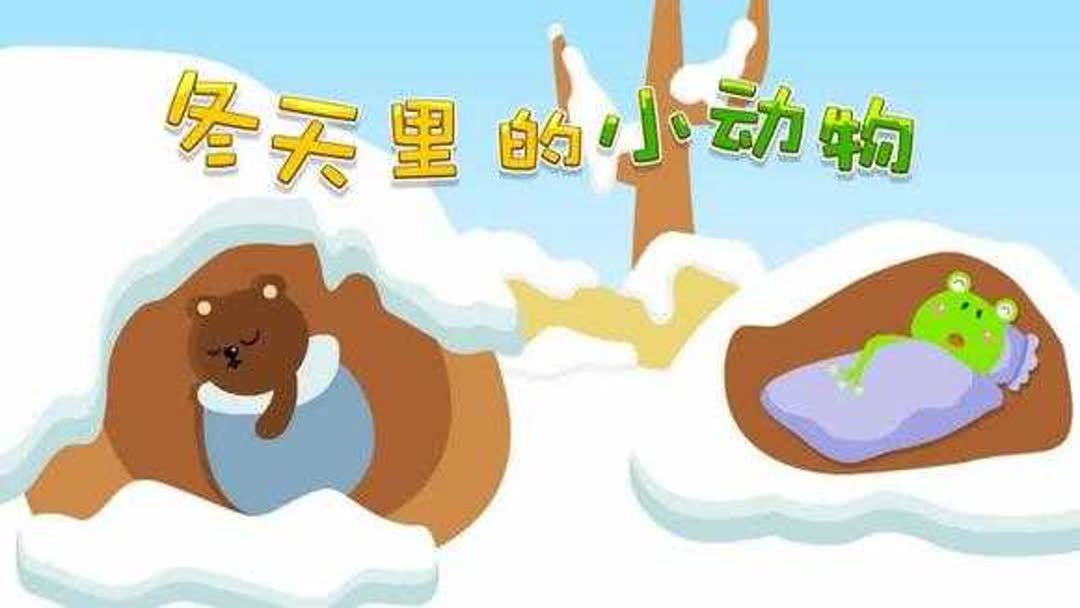 冬天里的小动物~冬天来到了,可爱的小动物们都是怎样过冬的呢?