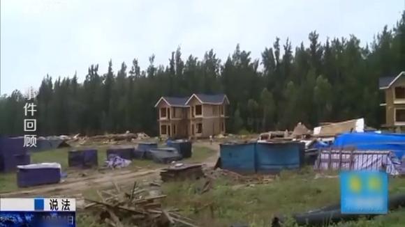 私自占用林地违规搭建,一排“海滩别墅”被拆除,补植复绿