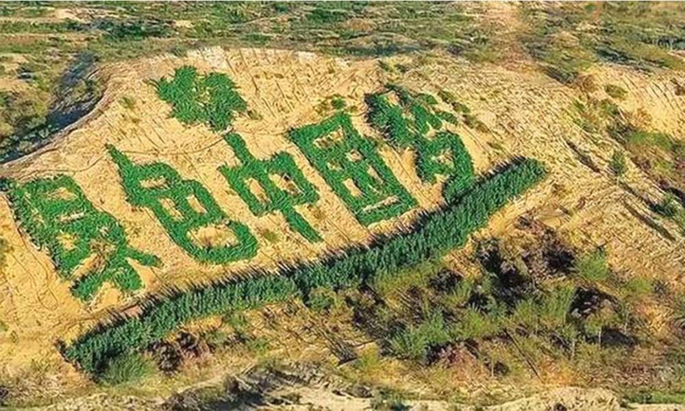 中国用30年把沙漠变绿洲,却毁于他们手中,治沙人:心血全完了