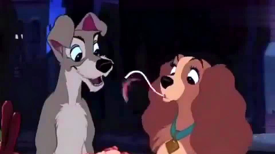 萌宠:动画片都虐单身狗!柯基:嘴里的面它突然就不香了