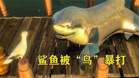 凶狠鲨鱼上岸想吃人,却被两只会功夫鸟坑惨了,搞笑动画《鲨鱼》