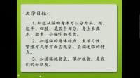 ...科学上册家养小动物21 猫-汪老师优质公开课教学视频(配课件教案)