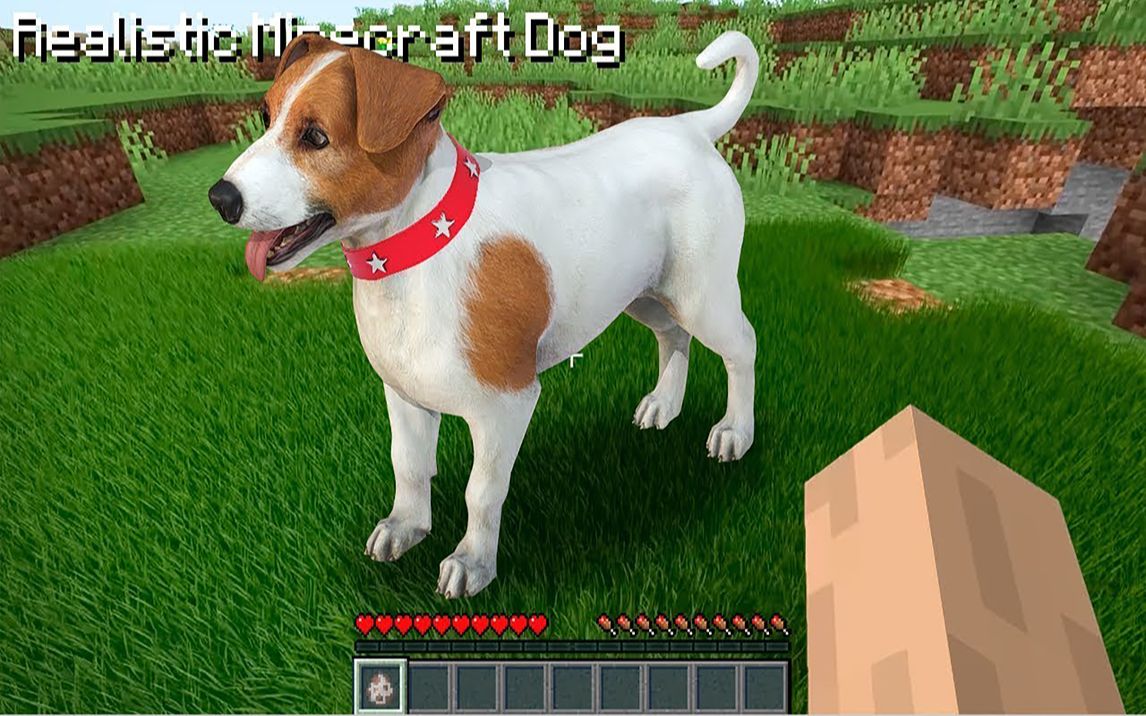 【我的世界】养只巨犬,汪汪队出发!