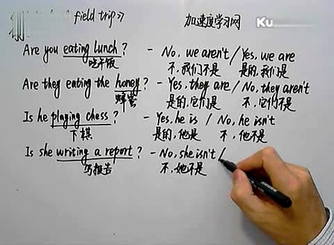 五年级下册英语《A field trip》第六单元 句子翻译