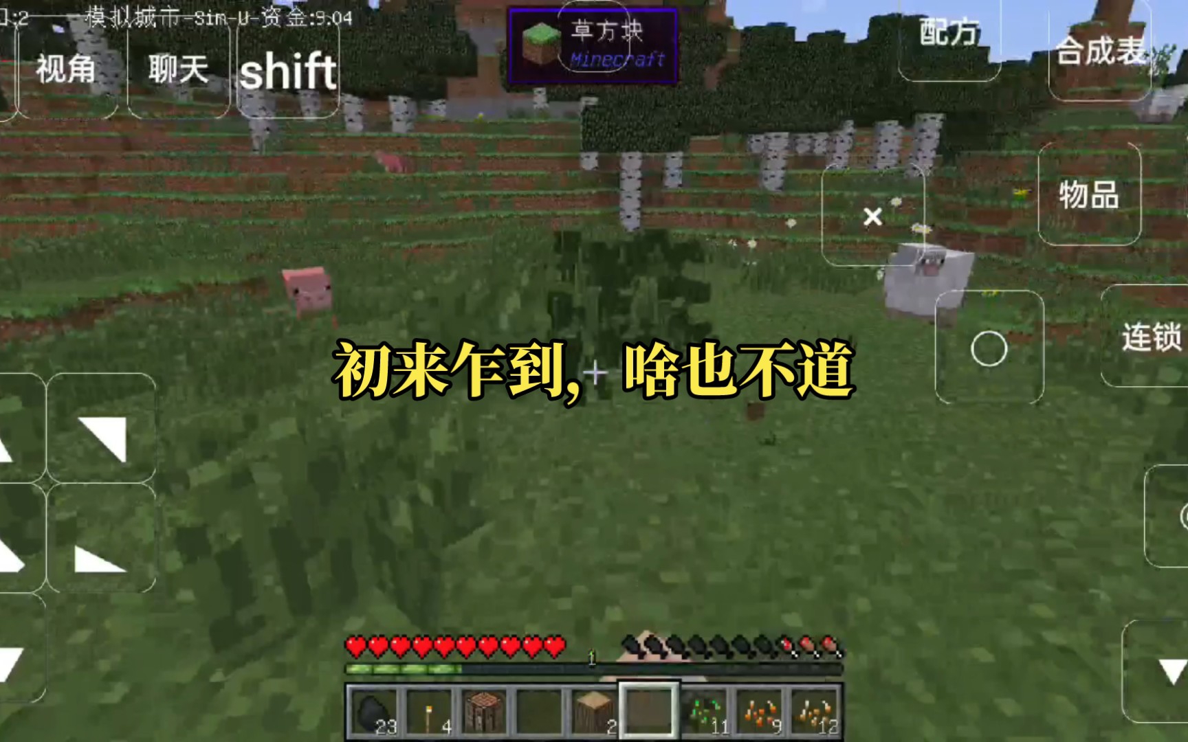 我的世界模拟都市01 初来这个世界