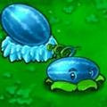 PVZ冰小瓜君 