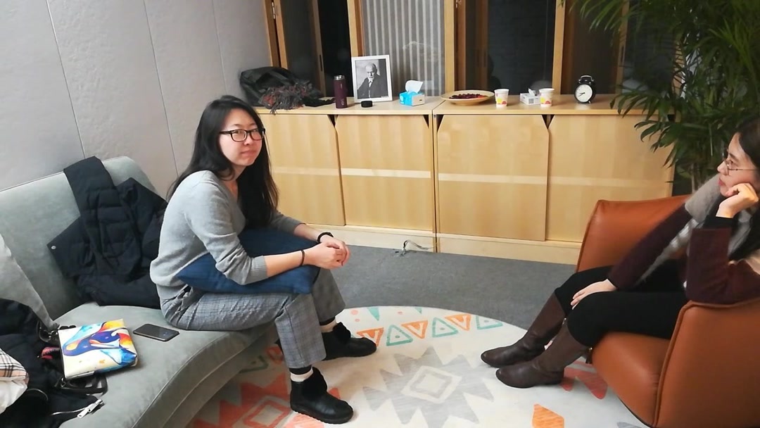 初阶咨询师咨询模仿体验2