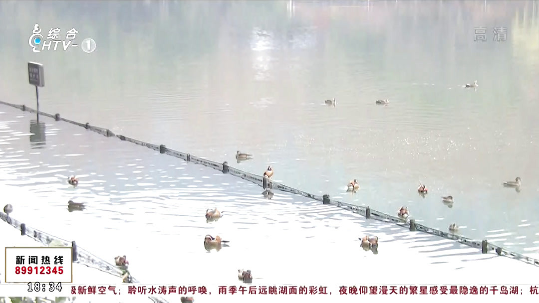 第八个世界野生动植物日:杭州已记录鸟类达360余种