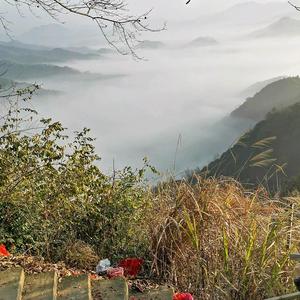 进取1819 