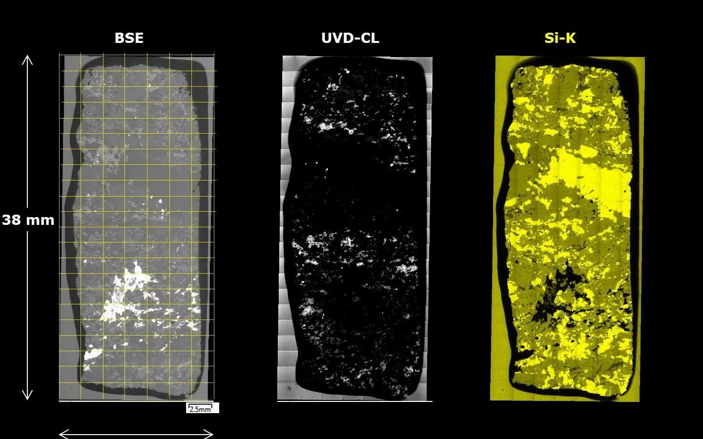 [电镜]矿物薄片大面积SEM-EDX分析