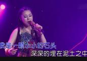 来听听《雨花石》真正的原唱,令人热血沸腾,不愧是中国海啸音!