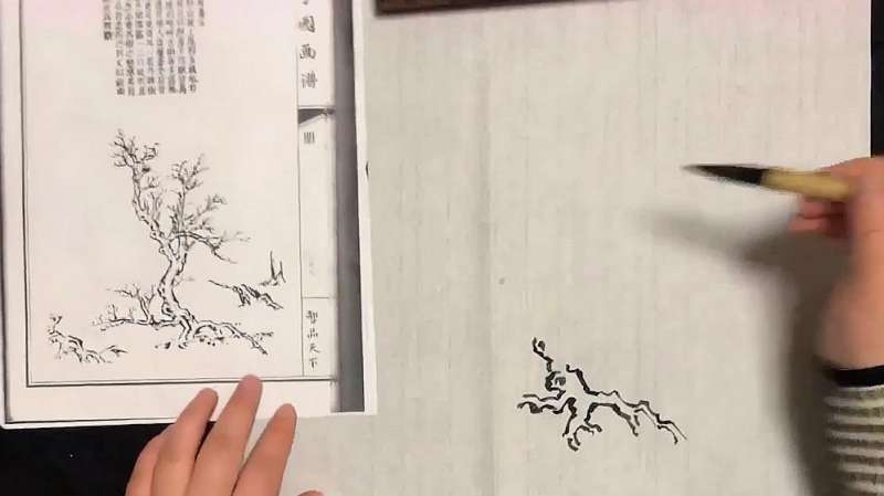 水墨画画画:今天小老师跟大家共同学习分享的是枯树的画法