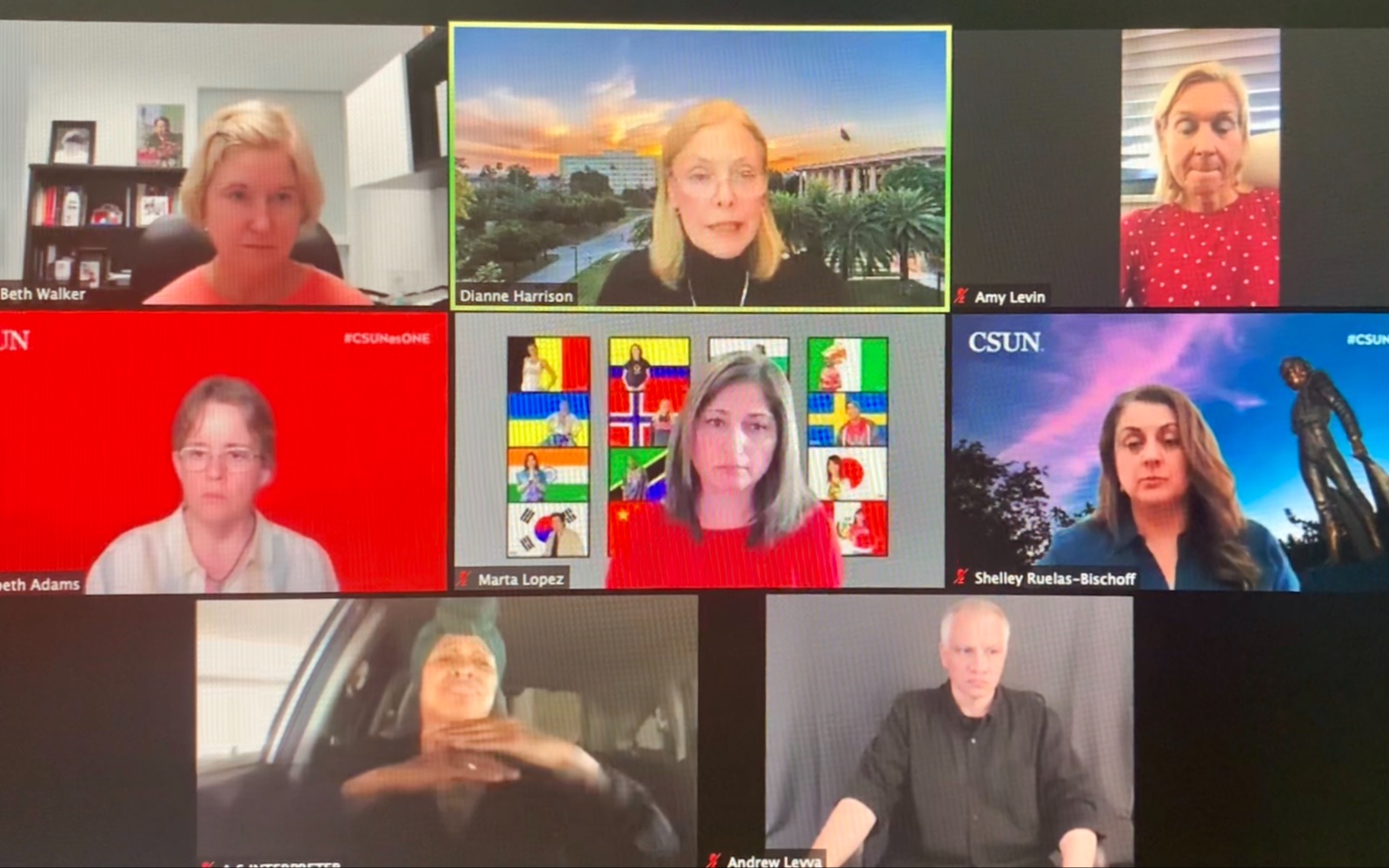 加州州立大学北岭分校2020秋季国际学生上课模式校园会议录屏