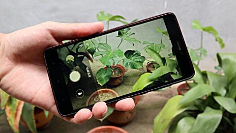 微信拍张花草照片立马显示出名称, 出门旅游能派上大用场, 快看看