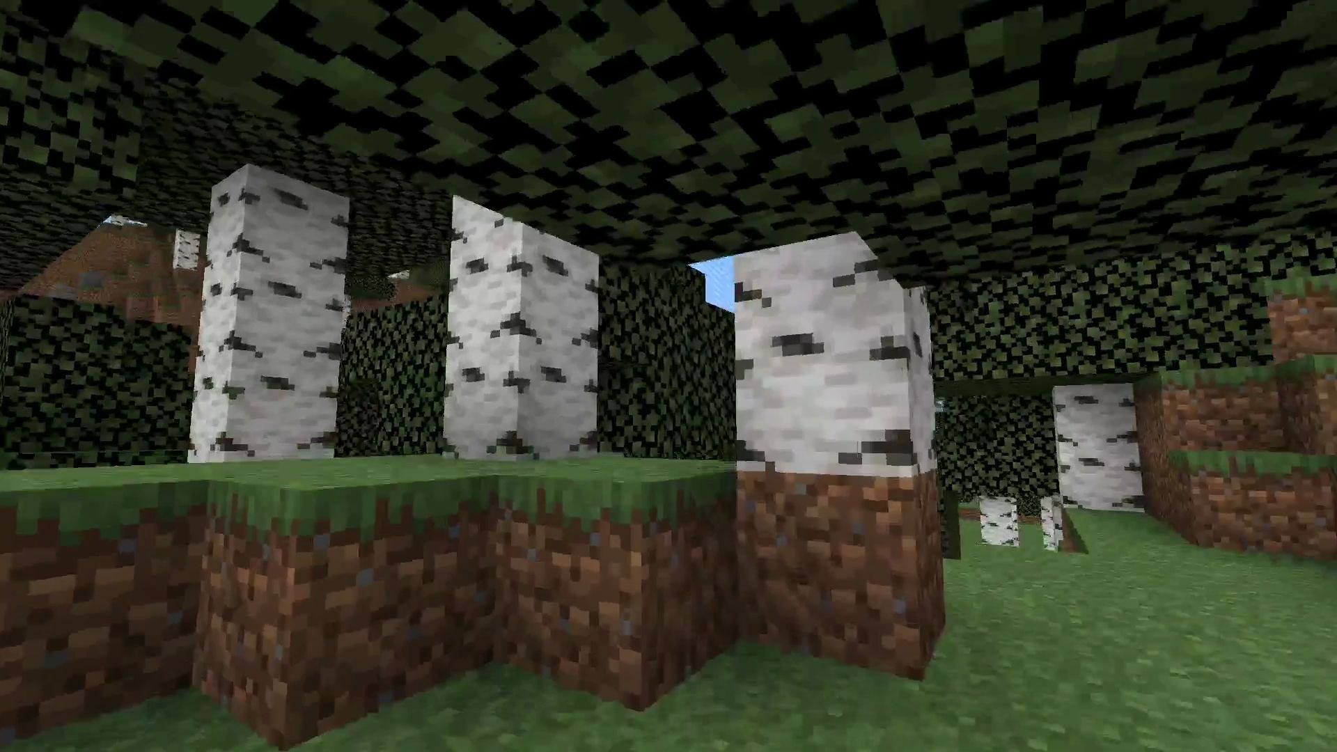 我的世界 - 100x100格 - 白桦树林