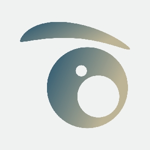 小丑视角 