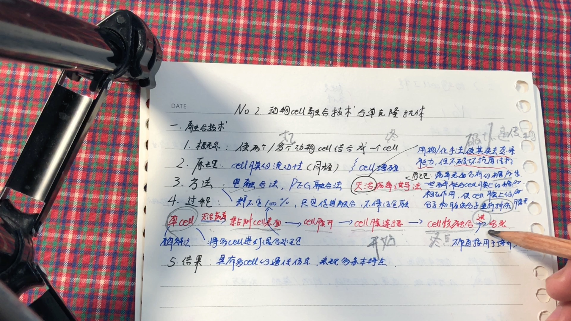 动物细胞融合